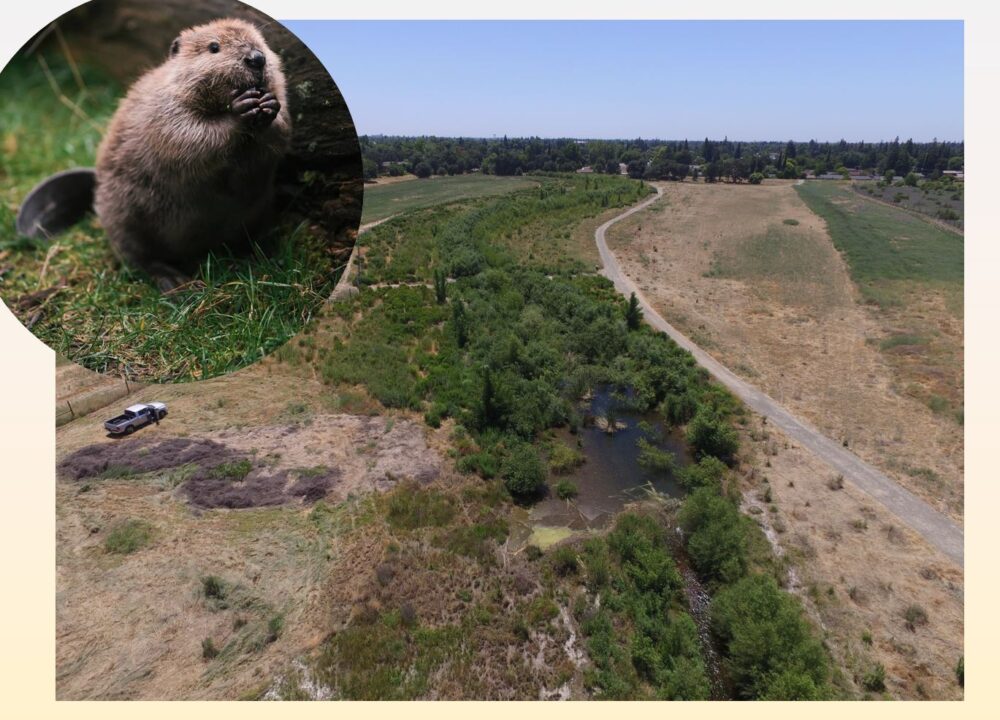 Beaver Slide 1a – Sacramento Water Forum
