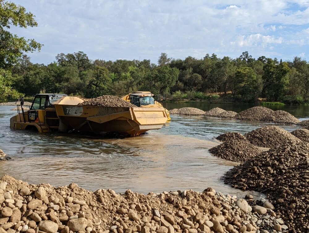 Habitat Enhancement – Sacramento Water Forum